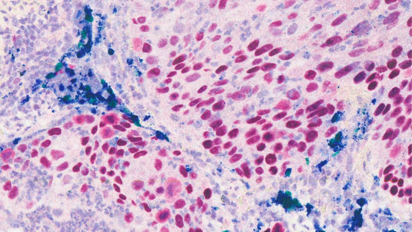 Life Sciences and Research Solutions