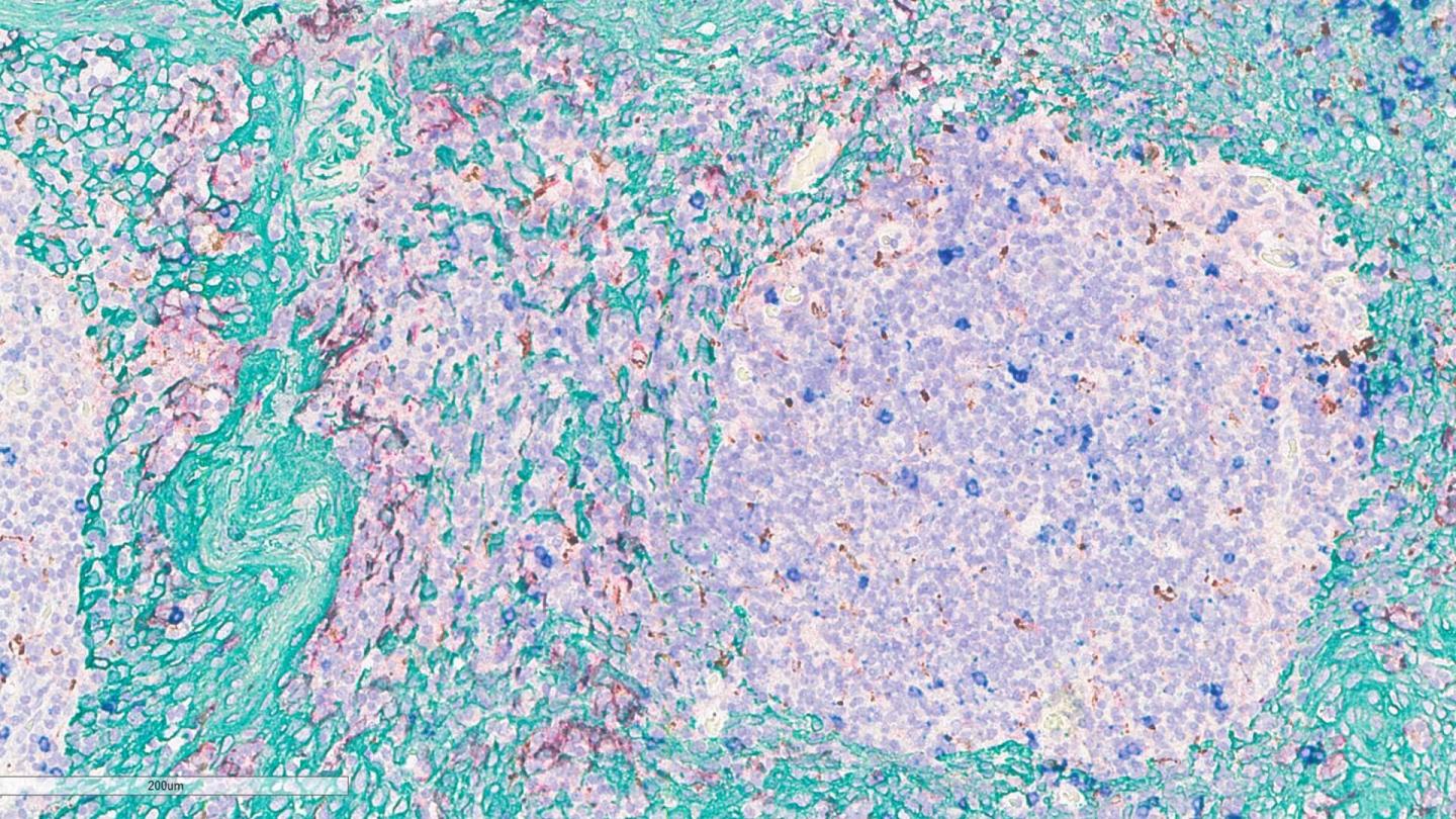 Life Sciences and Research Solutions