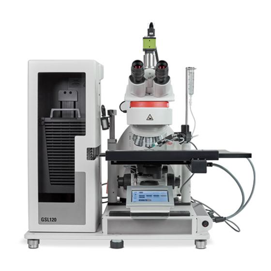 CytoInsight GSL Image Analysis, Management for Cytogenomics