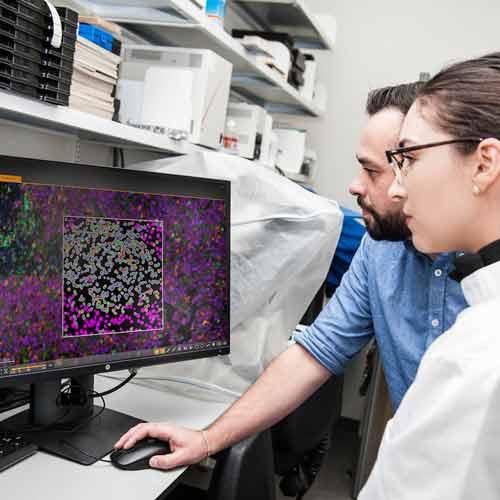 HALO Link Image Management System for Digital Pathology