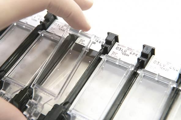 BOND-MAX | Automated Immunohistochemistry (IHC) Stainer