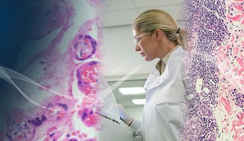 Anatomical Pathology Equipment & Workflow Solutions: Leica Biosystems