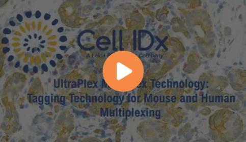 IHC & Multiplexing | Leica Biosystems
